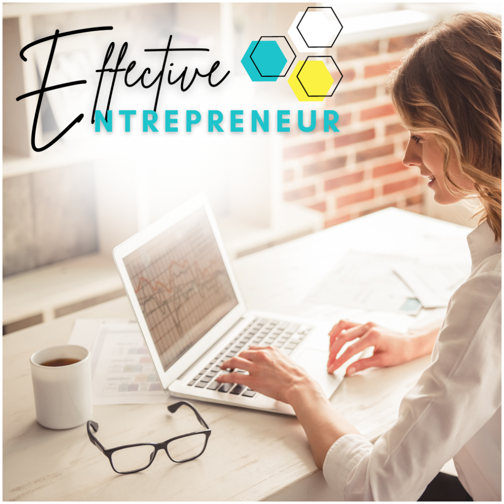 INSTANT ACCESS Effective Entrepreneur Videos & Downloads - Karen Conrad